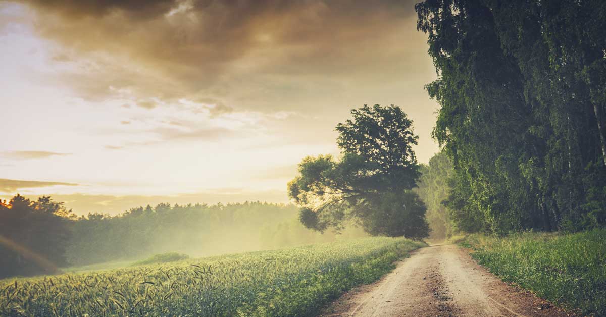 Interaction with Nature - wildforms